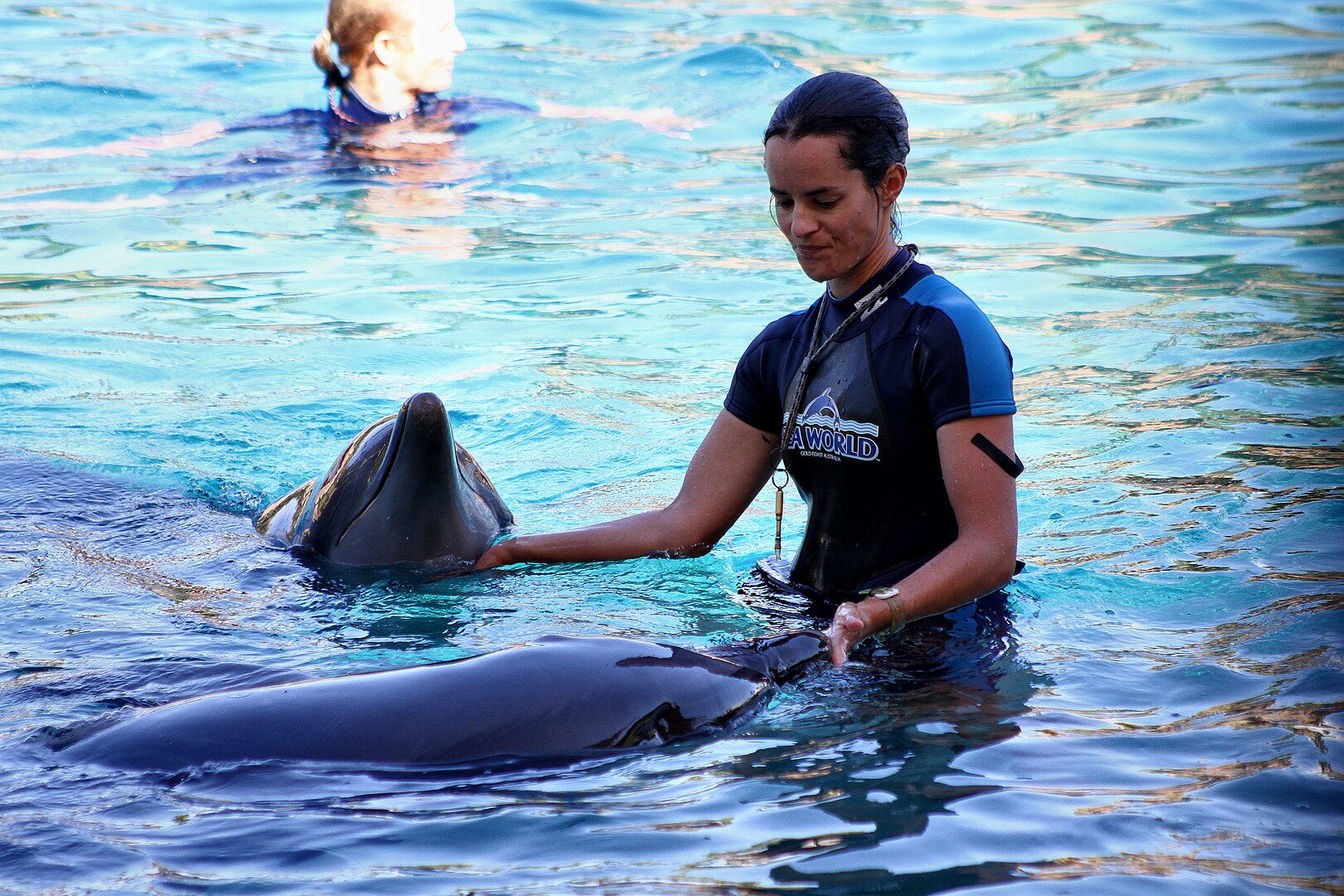 Why Dolphins Imitate Human Speech in Captivity