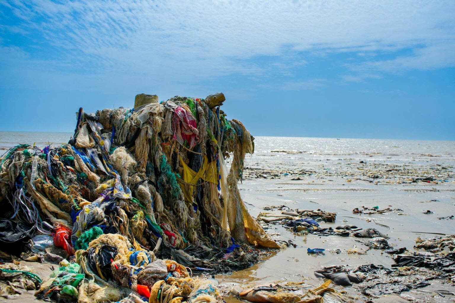 The Great Pacific Garbage Patch—How Big Is It Really?