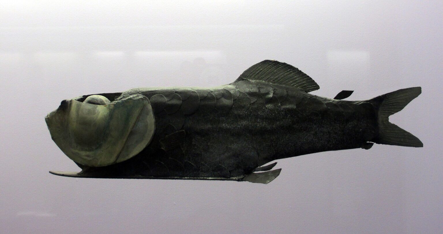 The Deep-Sea Fish With a Transparent Head