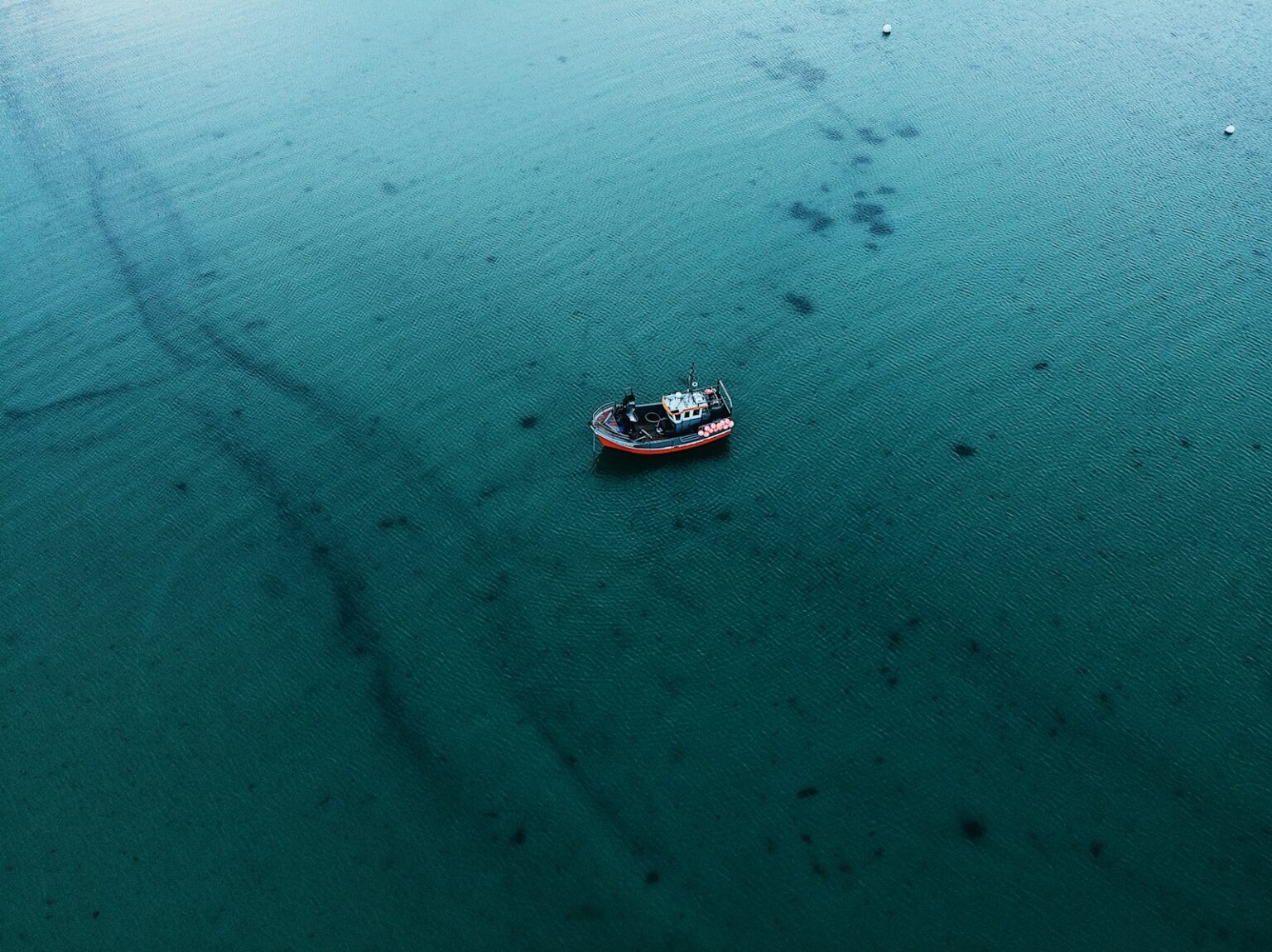 What Happens to Marine Life After an Oil Spill?
