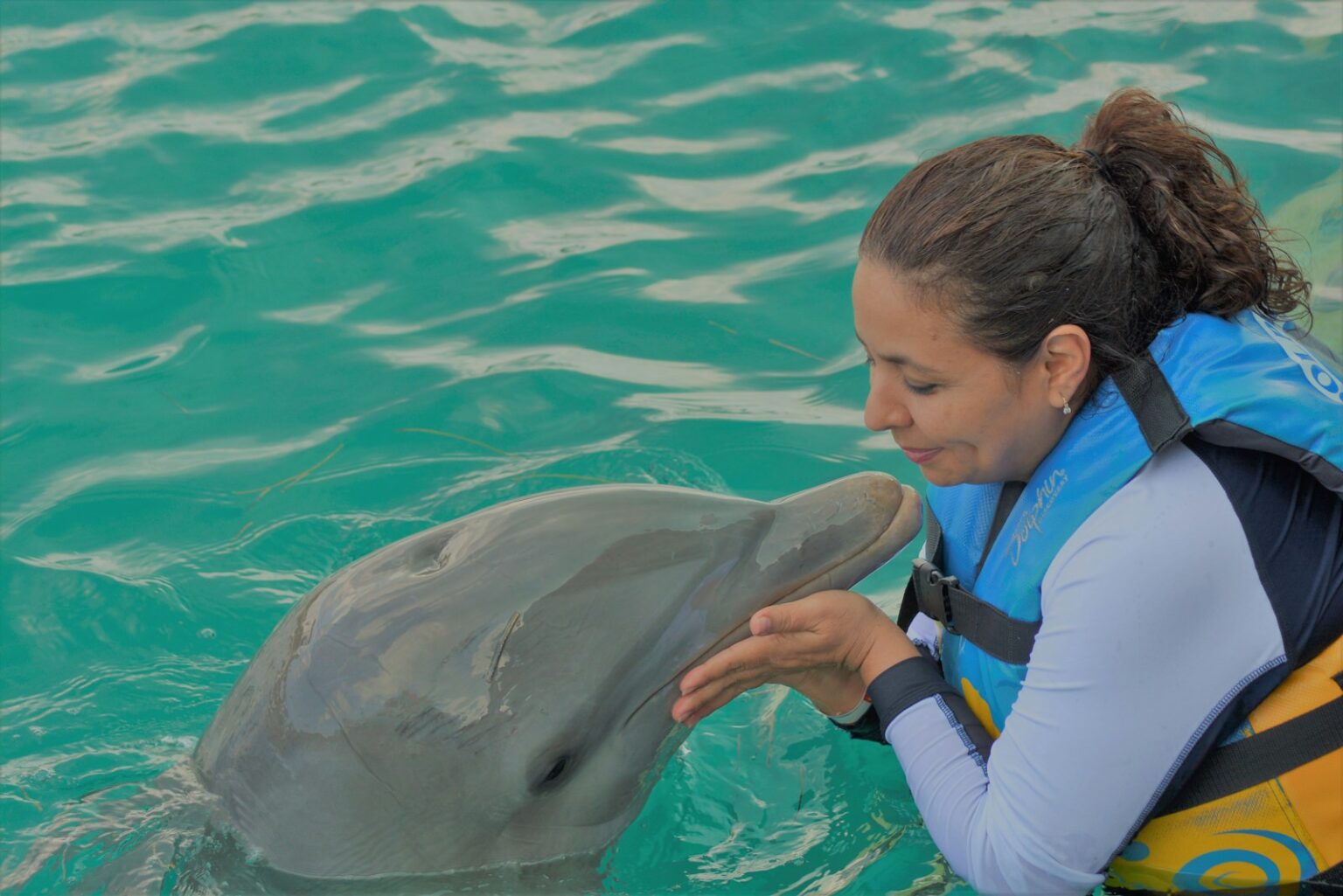 The Link Between Dolphin Brains and Human Empathy