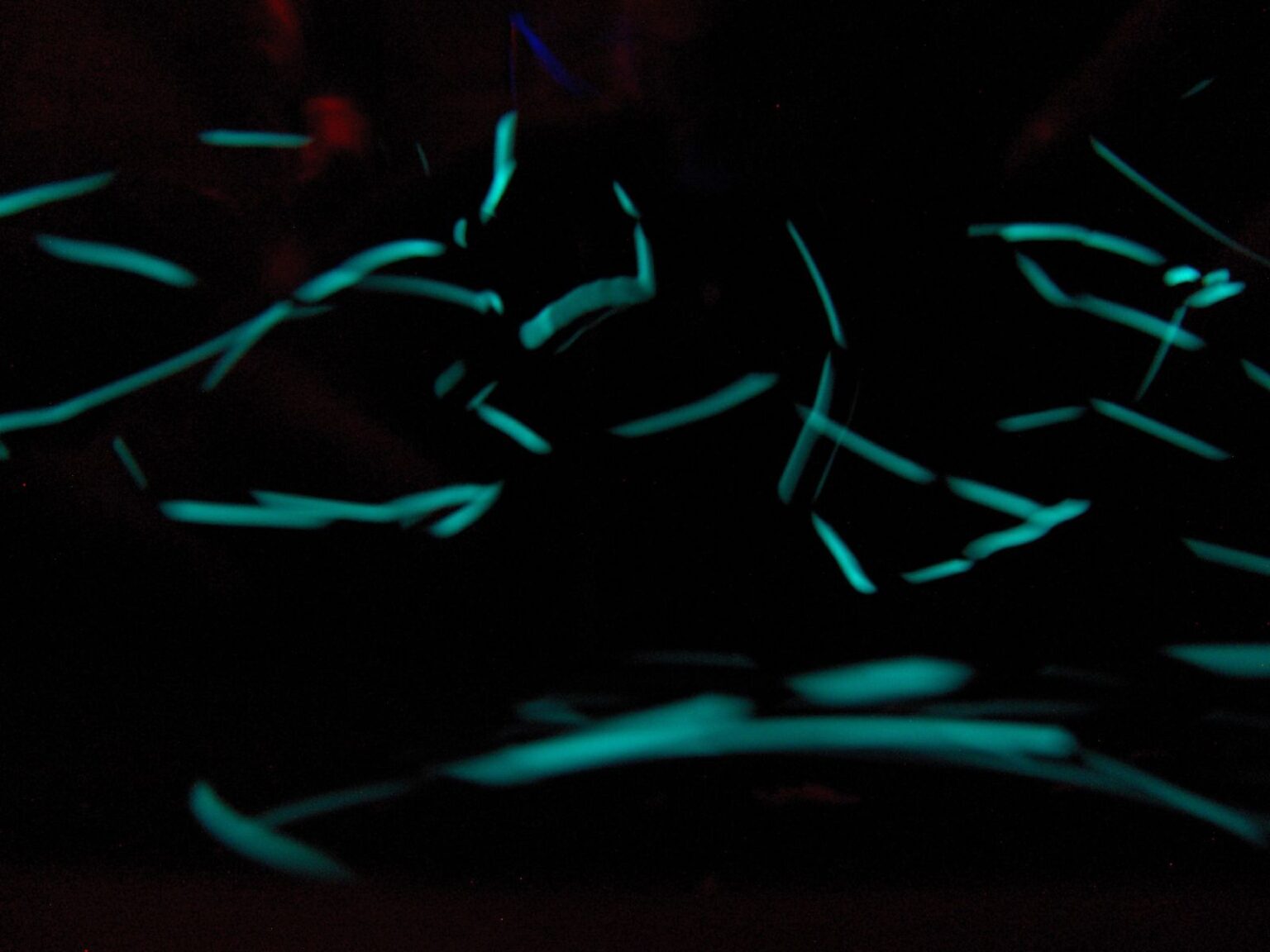 12 Deep-Sea Creatures That Glow in the Dark