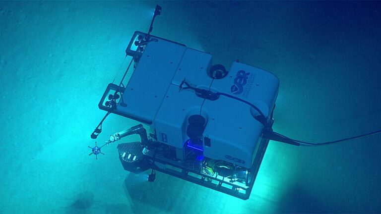 The Fish That Hunts With Its Own Bioluminescent Bait