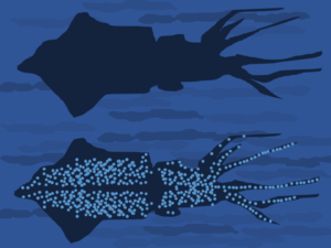 Why Do Some Deep-Sea Creatures Glow? The Science of Bioluminescence