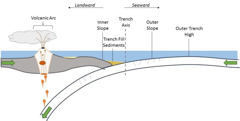 What Lives in Oceanic Trenches? Exploring the Mariana Abyss