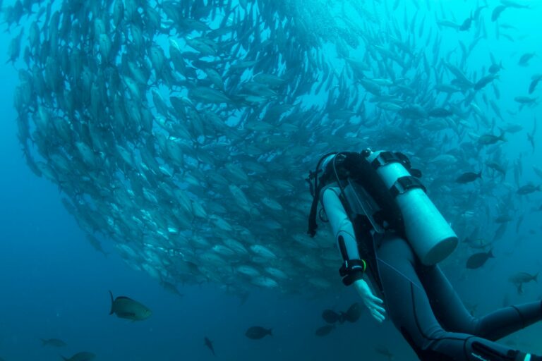 How Deep Can a Human Dive Without a Submarine?