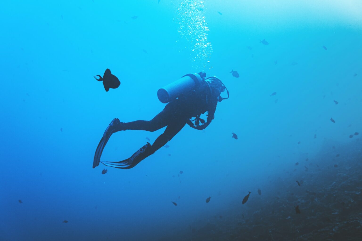 How Deep Can a Human Dive Without a Submarine?