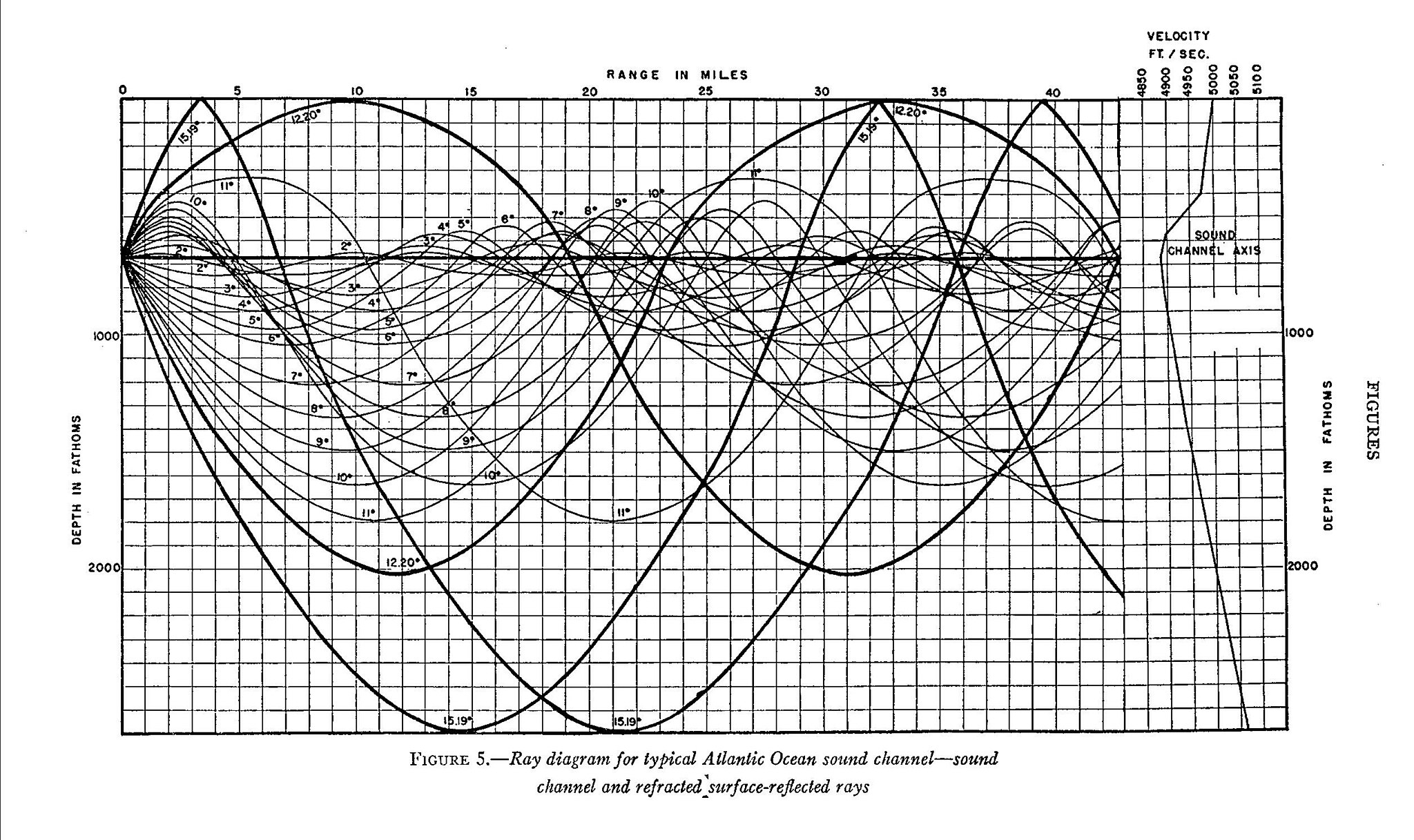 How Blue Whales Communicate Across Entire Oceans