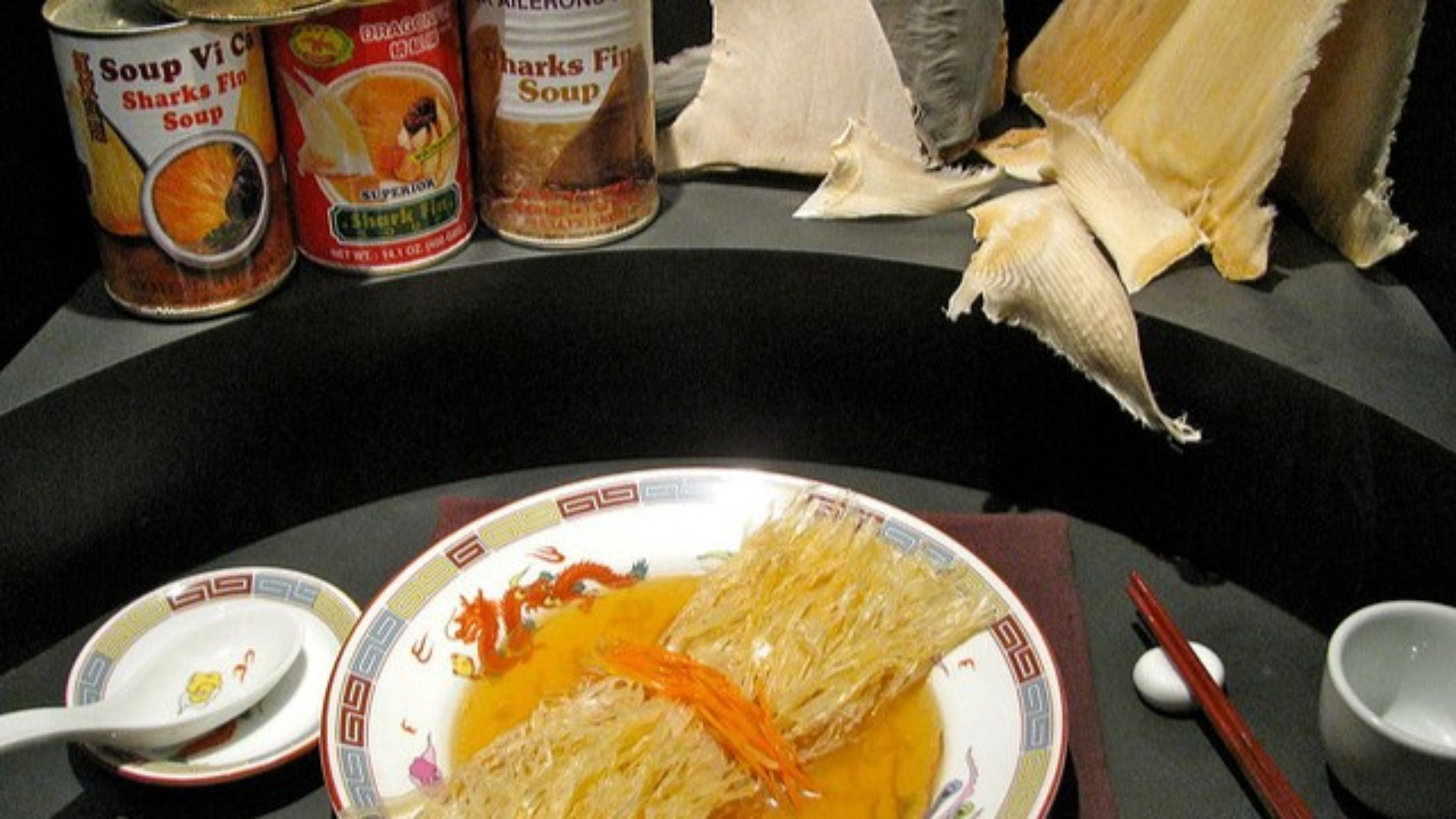 The Truth About Shark Fin Soup and Its Deadly Cost