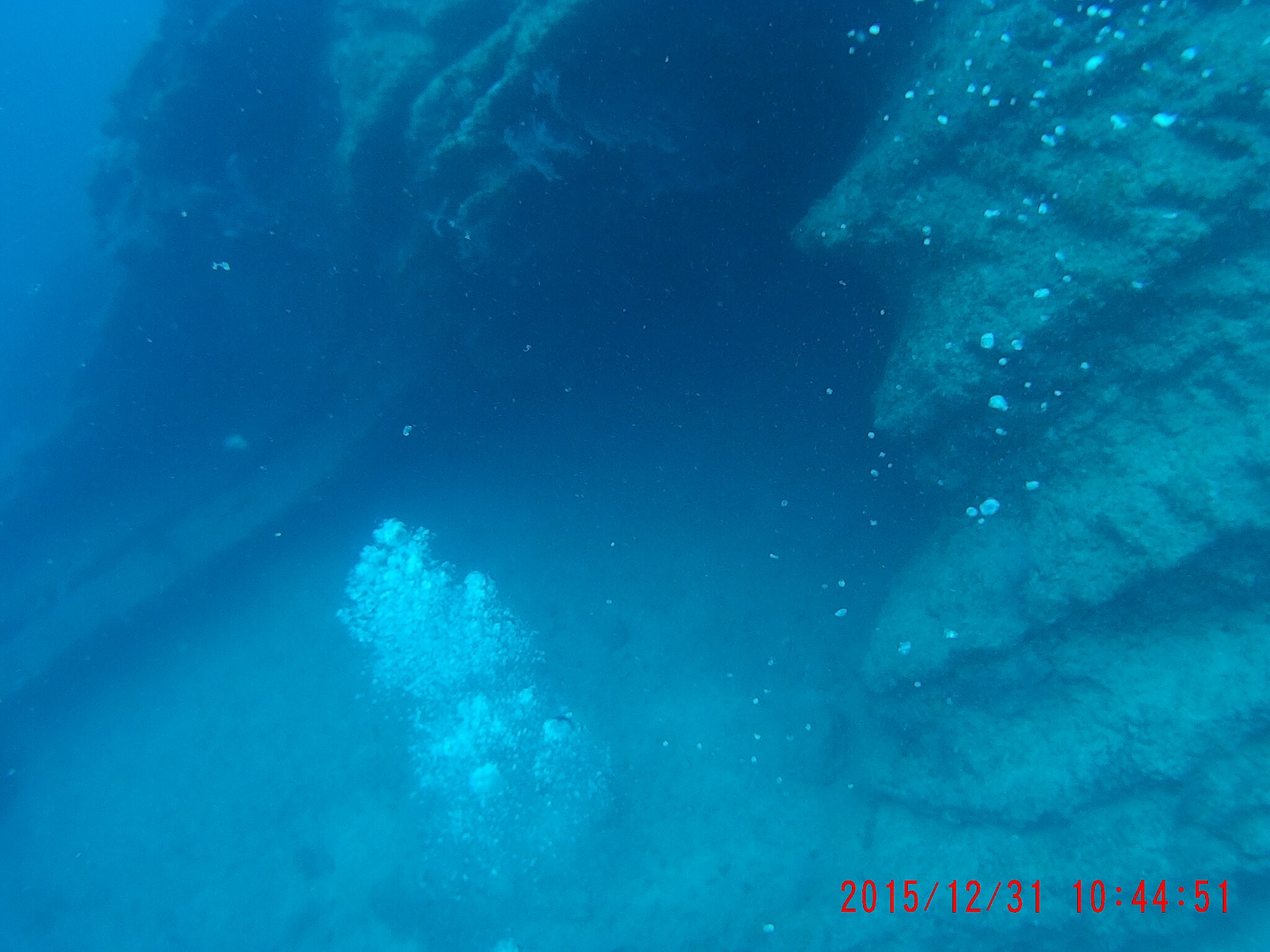 Why Sharks Visit Underwater Caves