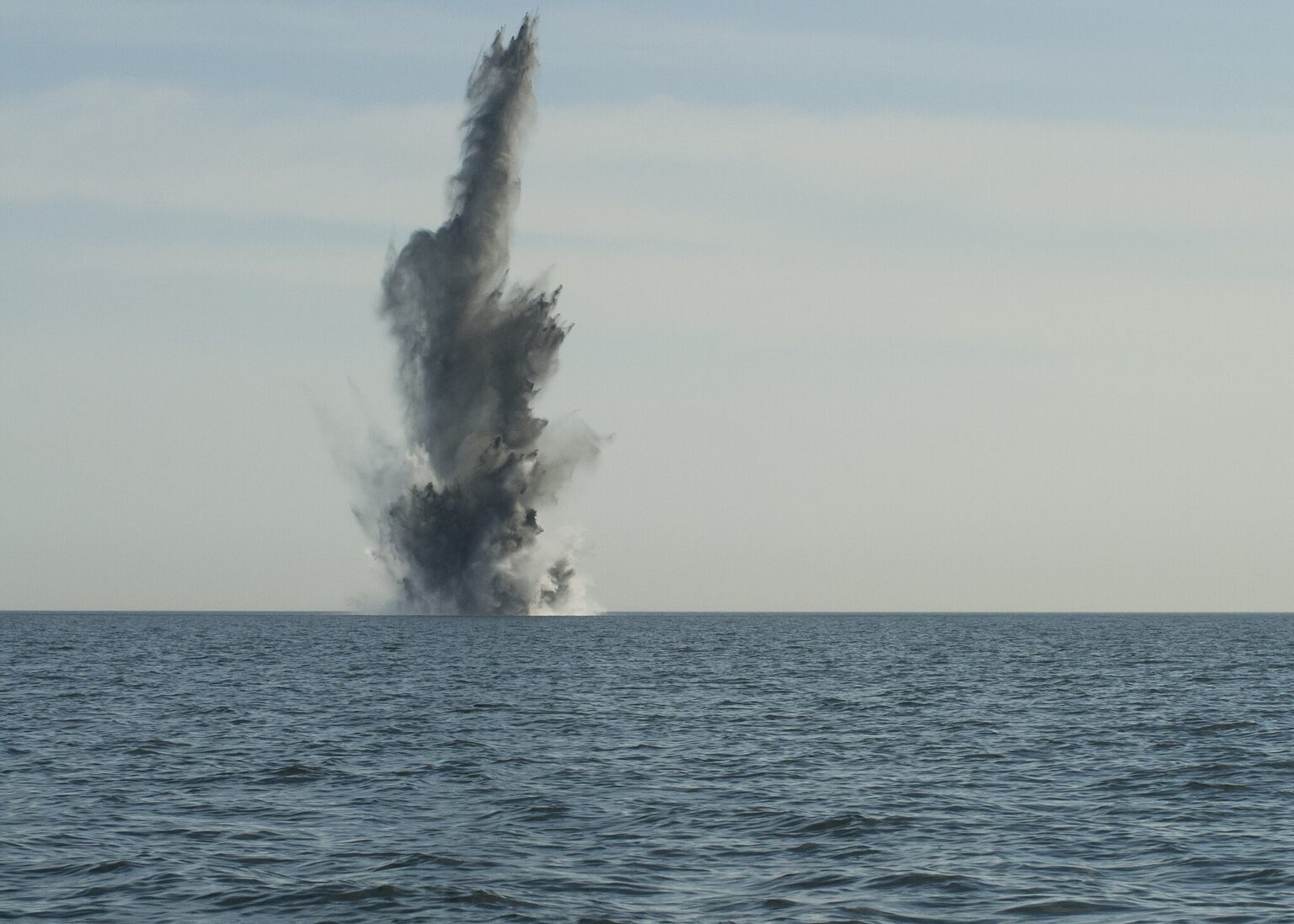 How Whales Respond to Underwater Explosions