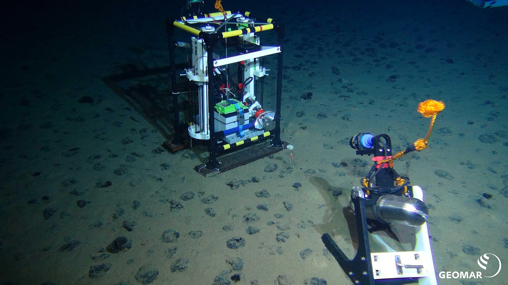 8 Deep-Sea Ambush Predators You Don’t Want to Meet