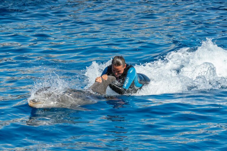 The Link Between Dolphin Brains and Human Empathy